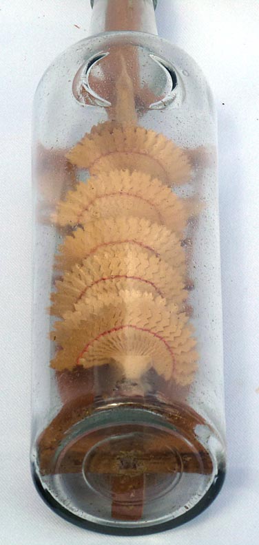 Pictures of Carved Whimseys and Bottle Whimsies, list #3 at Artisans ...